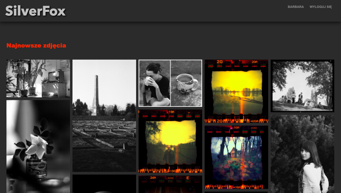 Dorota Staszczuk - Portfolio